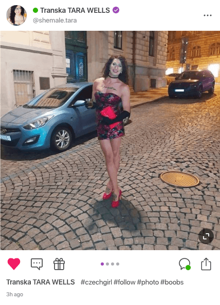 Transgender Model Tara Wells Talks Silicone, Glamino, and Living Life ...